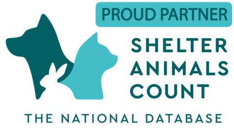 Pawboost: A Lost and Found Pet Resource - The Haven No-Kill Animal Shelter