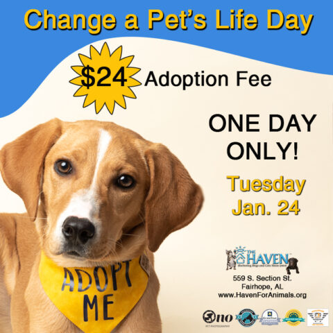 Change a Pet's Life Day - The Haven No-Kill Animal Shelter